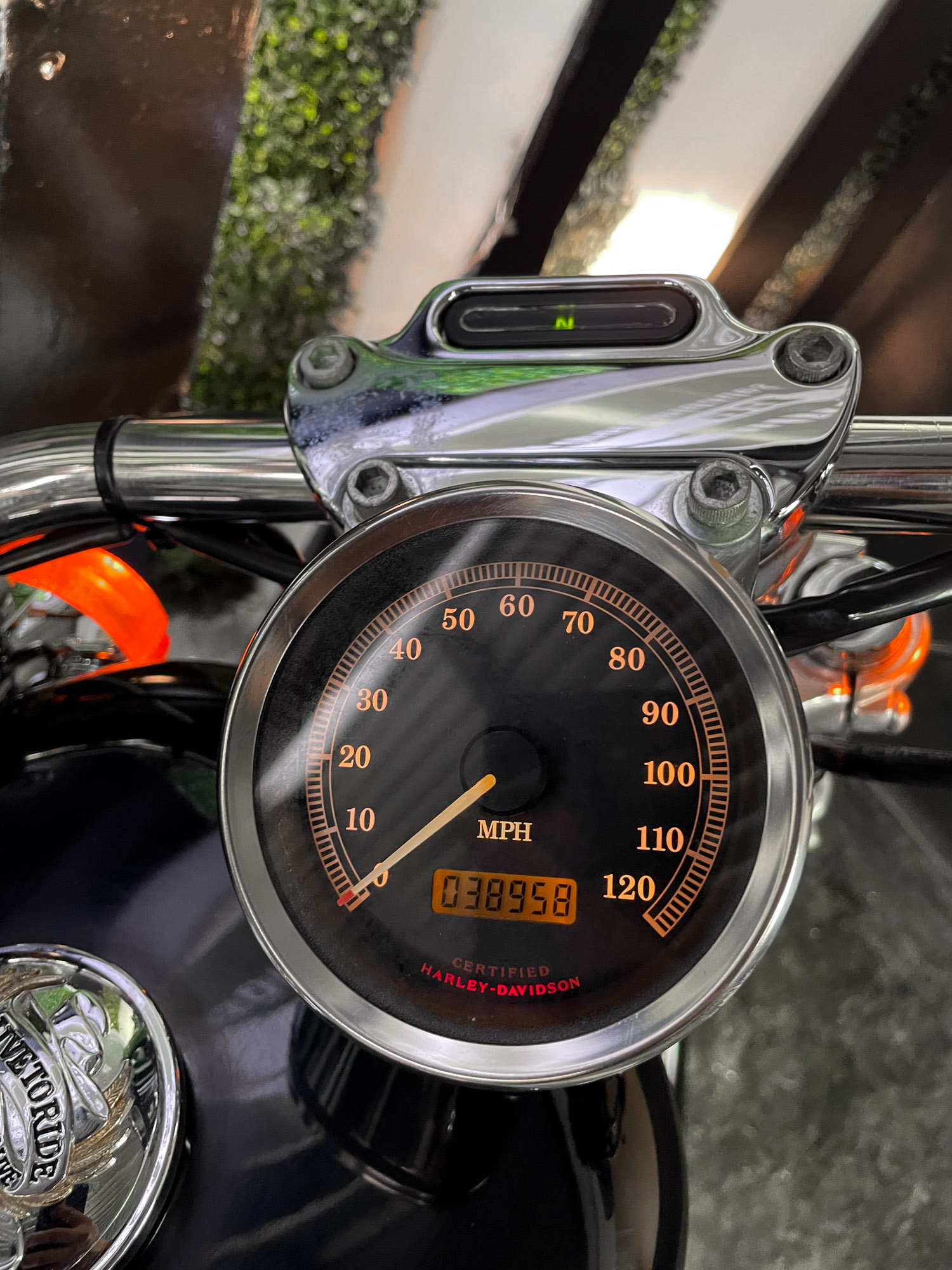 HARLEY-DAVIDSON XL1200C 2001 – Jm Bikes tienda